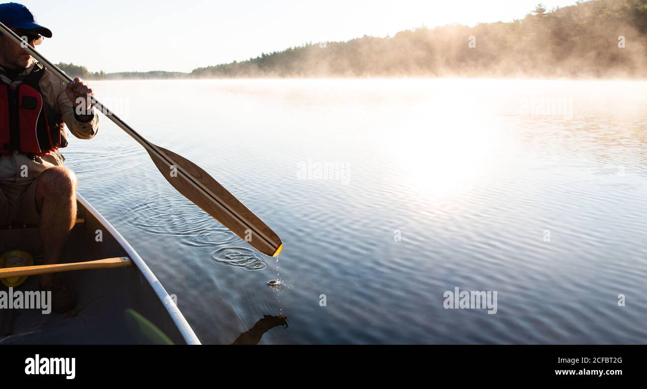 Man paddling canoe in the morning on a misty lake in Ontario, Canada ...