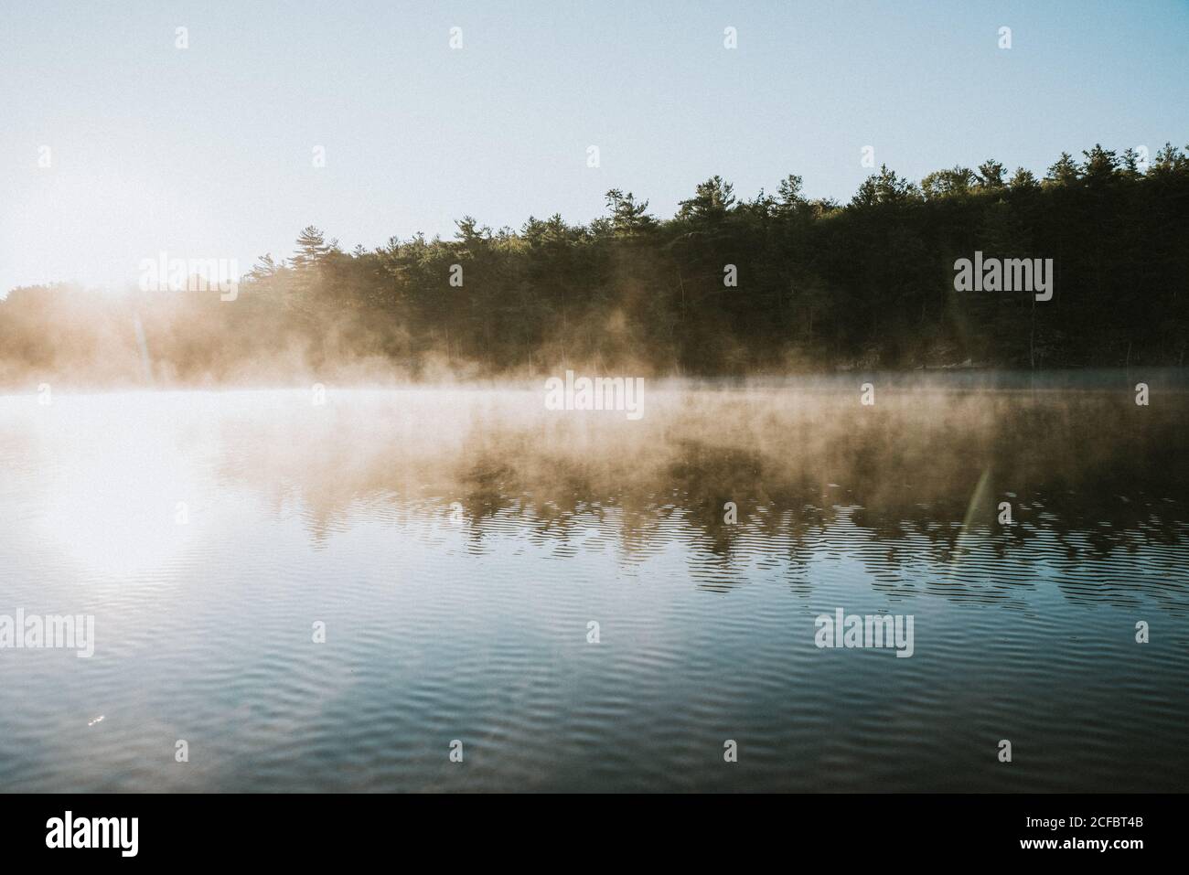 Lake in Canada with mist rising off of it in the early morning Stock ...