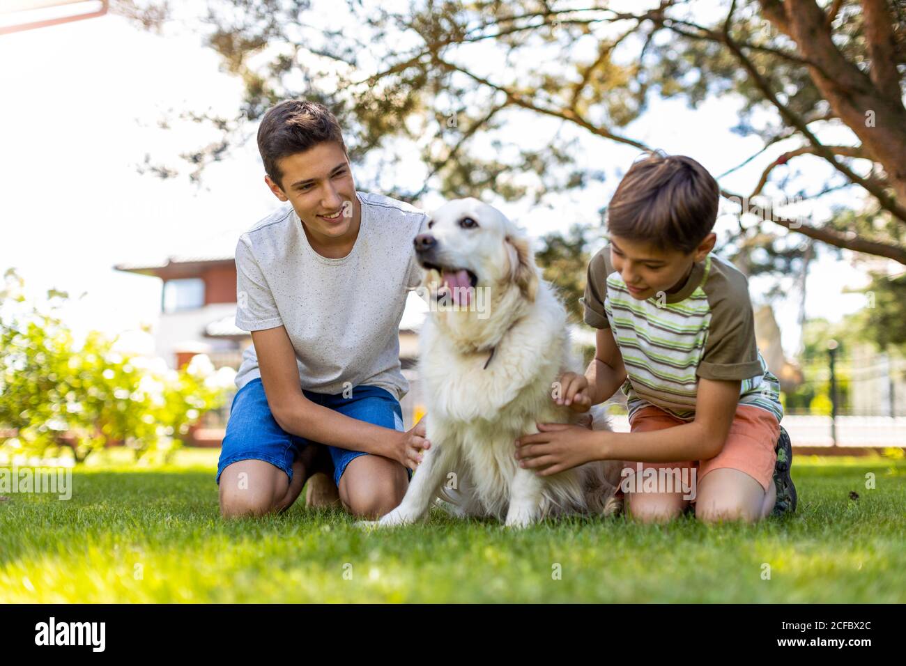 Boy laughing playing with dog hi-res stock photography and images - Alamy
