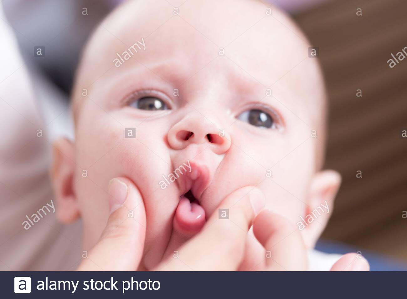 Big Cheek High Resolution Stock Photography and Images - Alamy