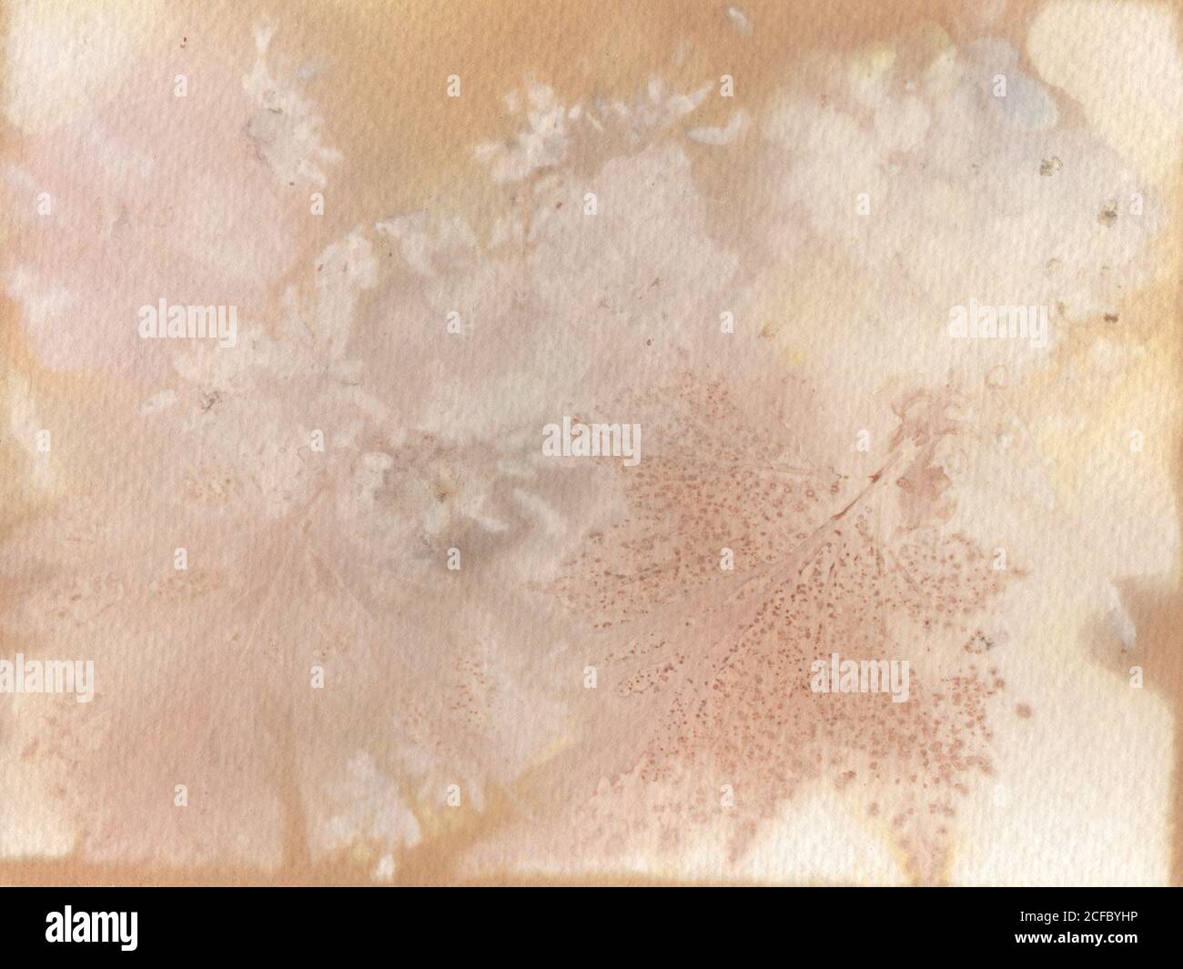 Dyeing plants hi-res stock photography and images - Alamy