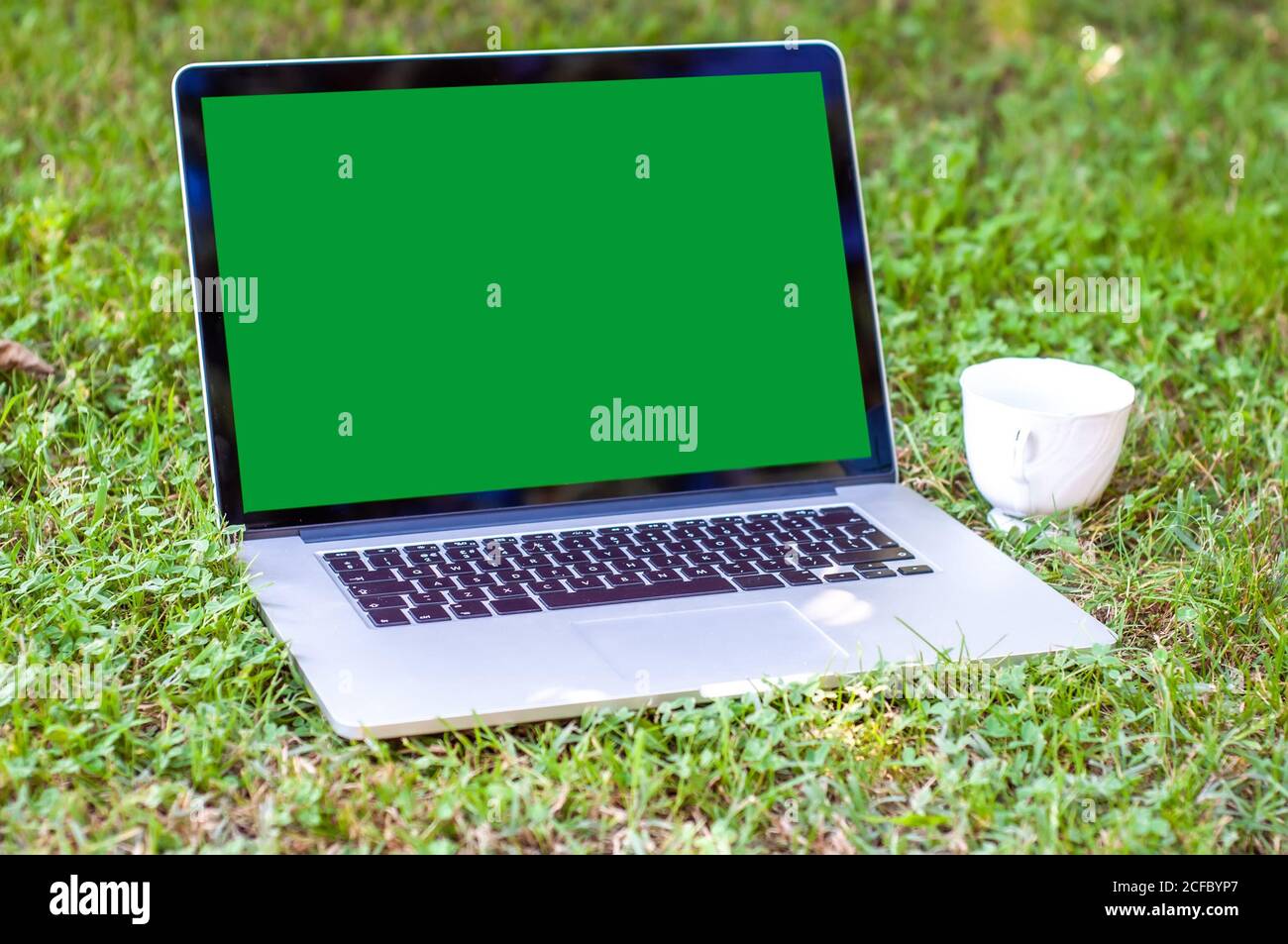 View on a laptop pc with a green screen and a coffee mug on the grass ...