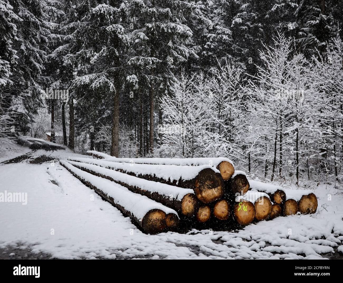 How to cut logs hi-res stock photography and images - Alamy