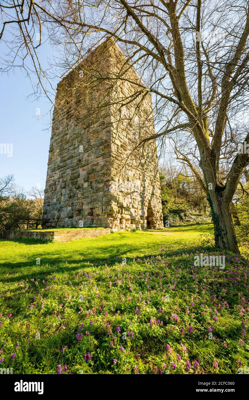 Residential tower of Burg Sponheim, in the Soonwald (Hunsrück), lies on ...