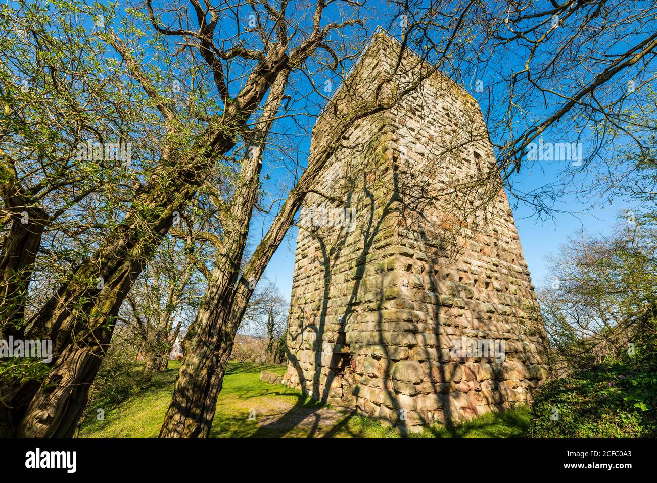 Residential tower of Burg Sponheim, in the Soonwald (Hunsrück), lies on ...
