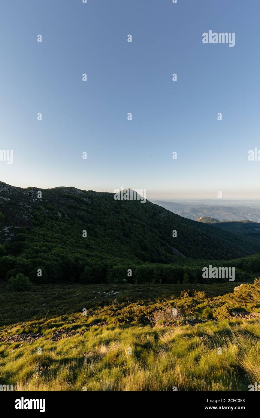 Amazing landscape of valley in high mountains with green vegetation ...