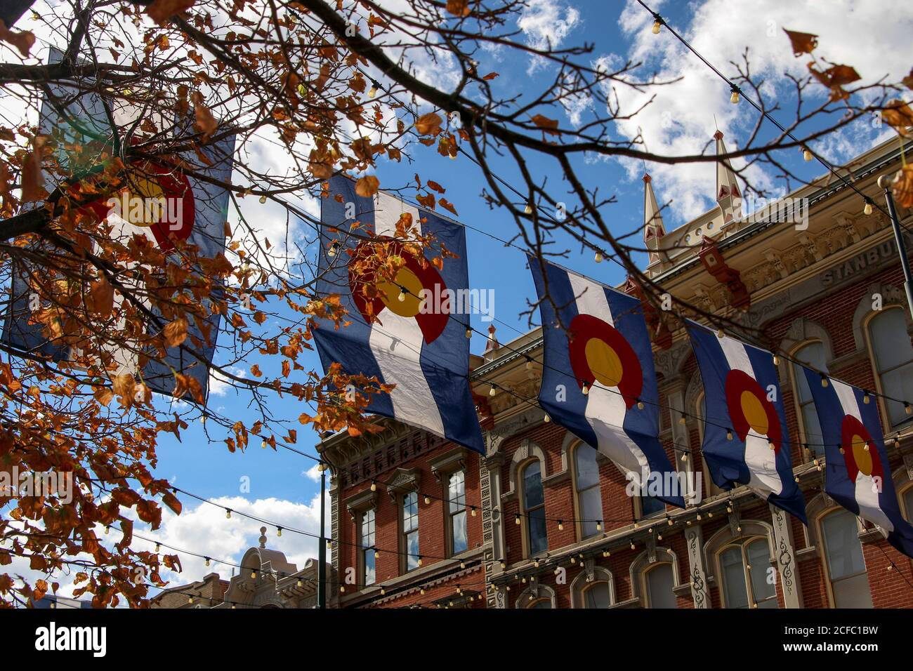 Denver Colorado flags in downtown behind autumnal tree Stock Photo - Alamy