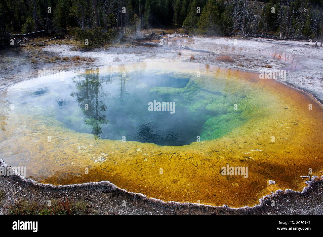 Morning Glory Pool in Yellowstone National Park, USA Stock Photo - Alamy