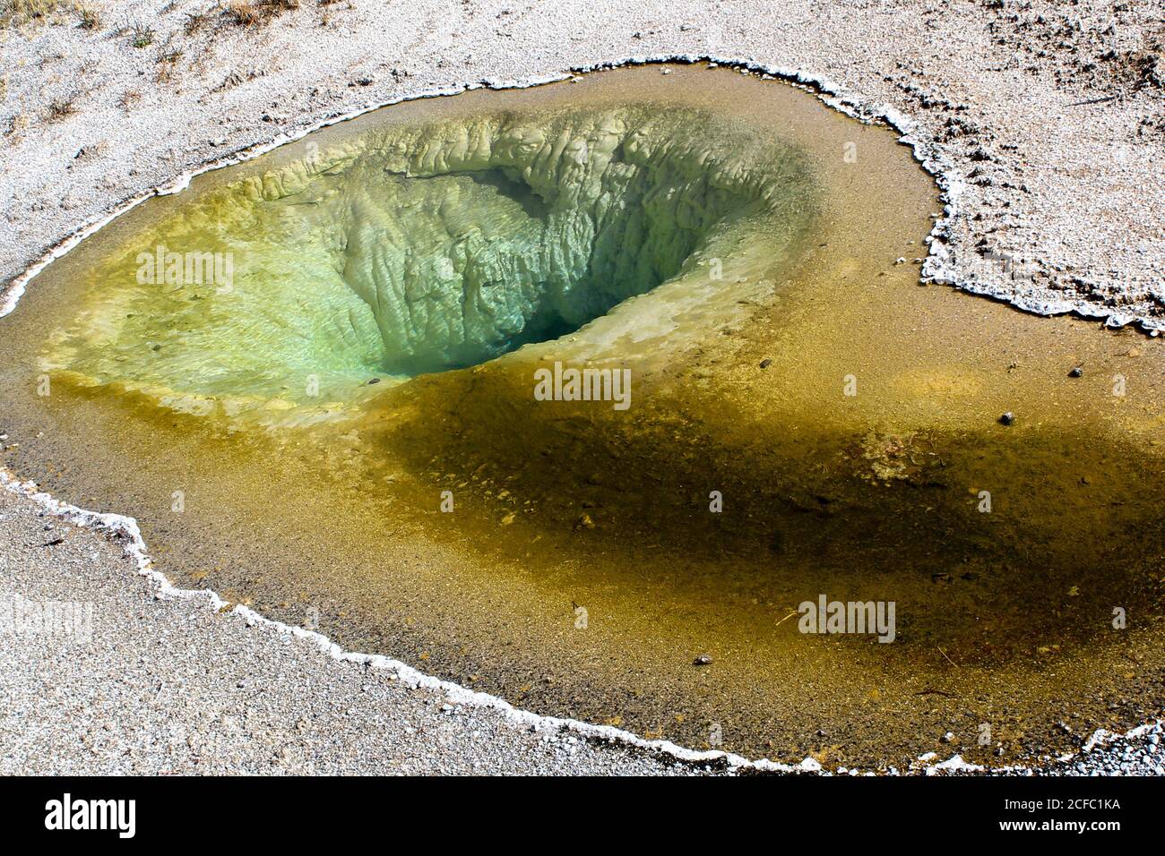 Morning Glory Pool in Yellowstone National Park, USA Stock Photo - Alamy