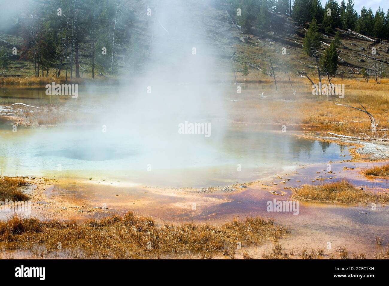 Morning Glory Pool in Yellowstone National Park, USA Stock Photo - Alamy
