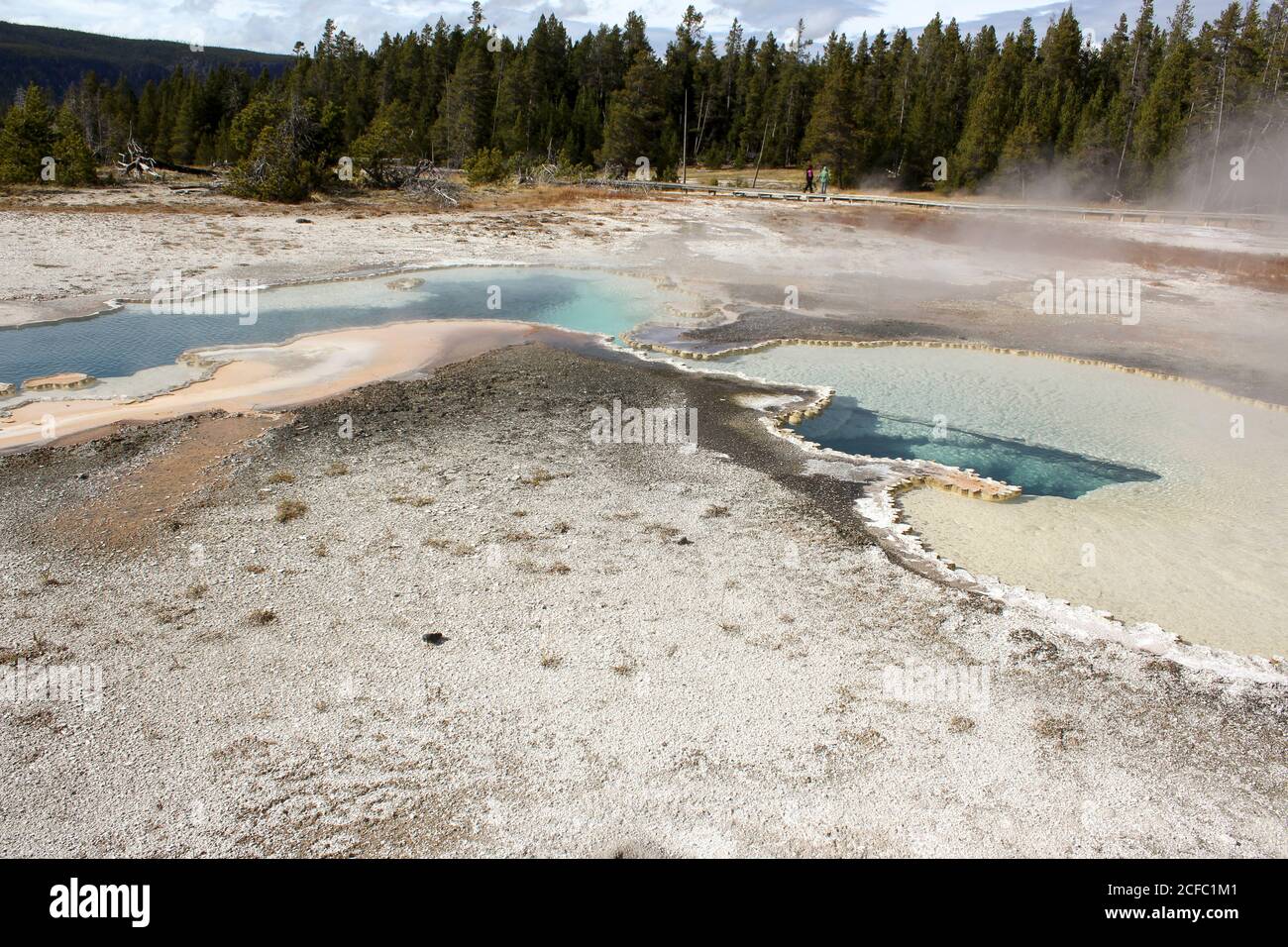 Geyser in Yellowstone National Park, USA Stock Photo - Alamy