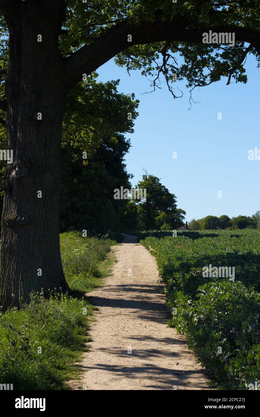 Rural path in copford village hi-res stock photography and images - Alamy