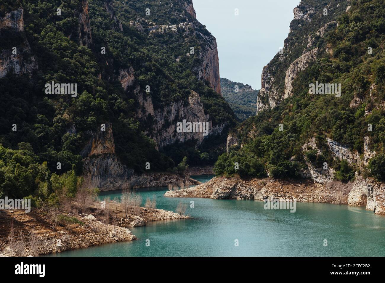 From above view a stunning river streaming in gorge between two green ...