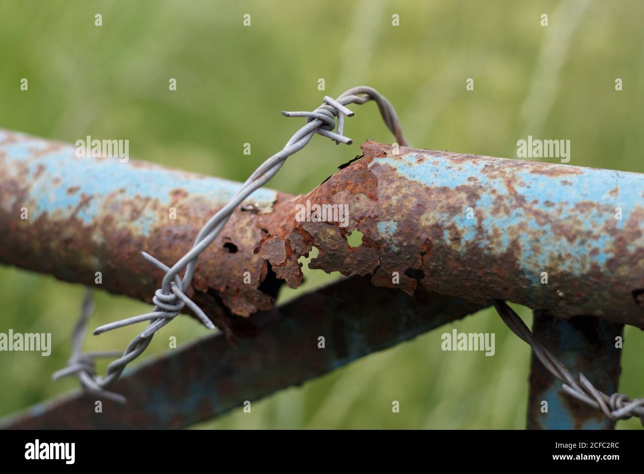 Rusty Gate with Barbed Wire - Rural Stock Photo - Alamy