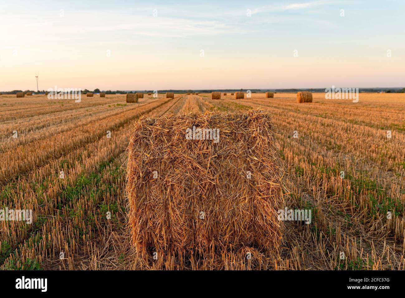 Poland polish farm farmer agriculture hi-res stock photography and ...