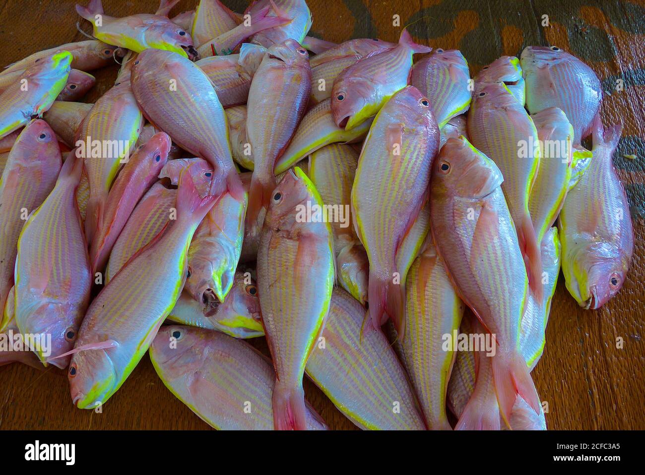 Arabia, Arabian Peninsula, Sultanate of Oman, Muscat, fish market Stock ...
