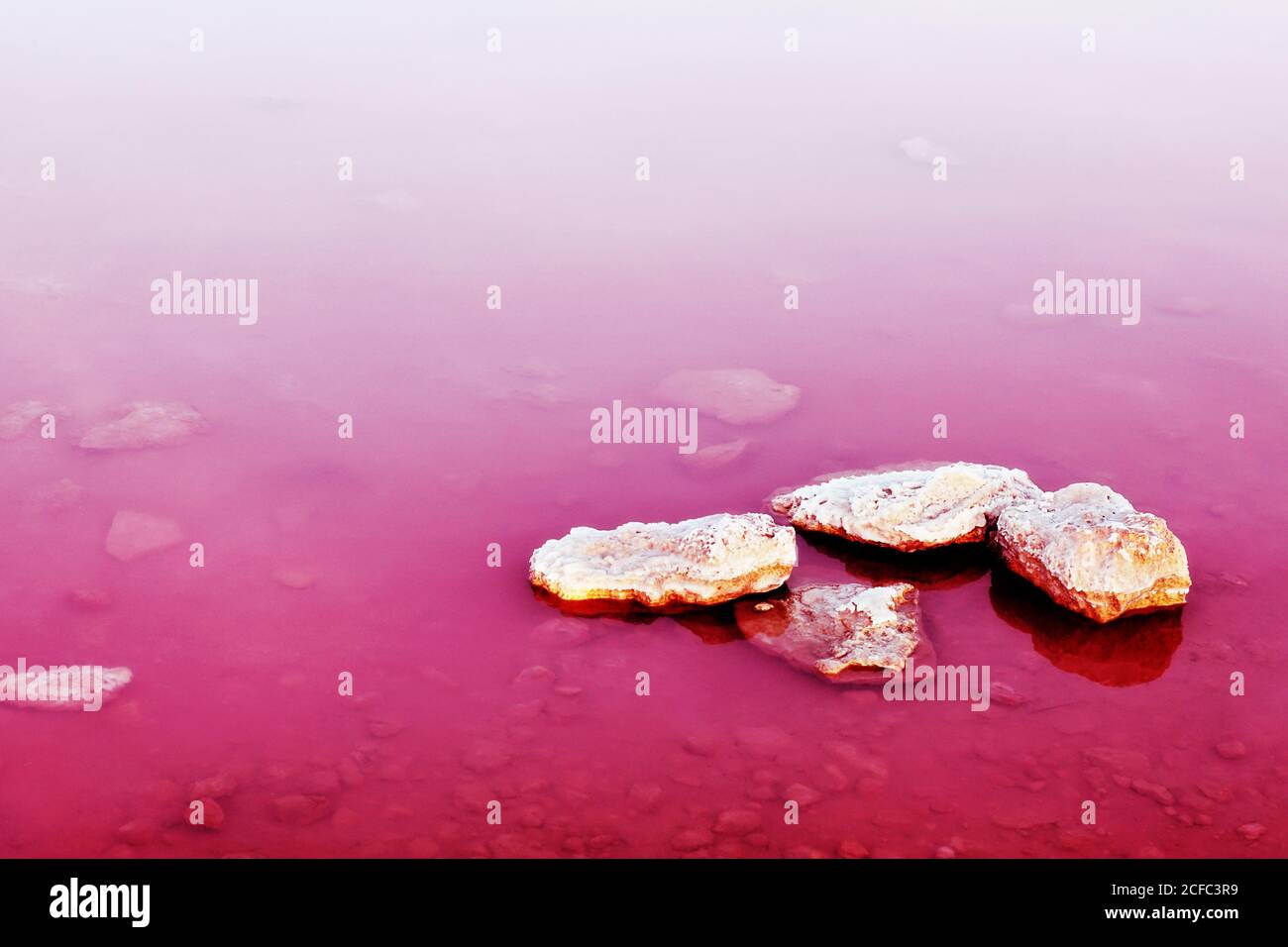 Pink lake water hi-res stock photography and images - Alamy