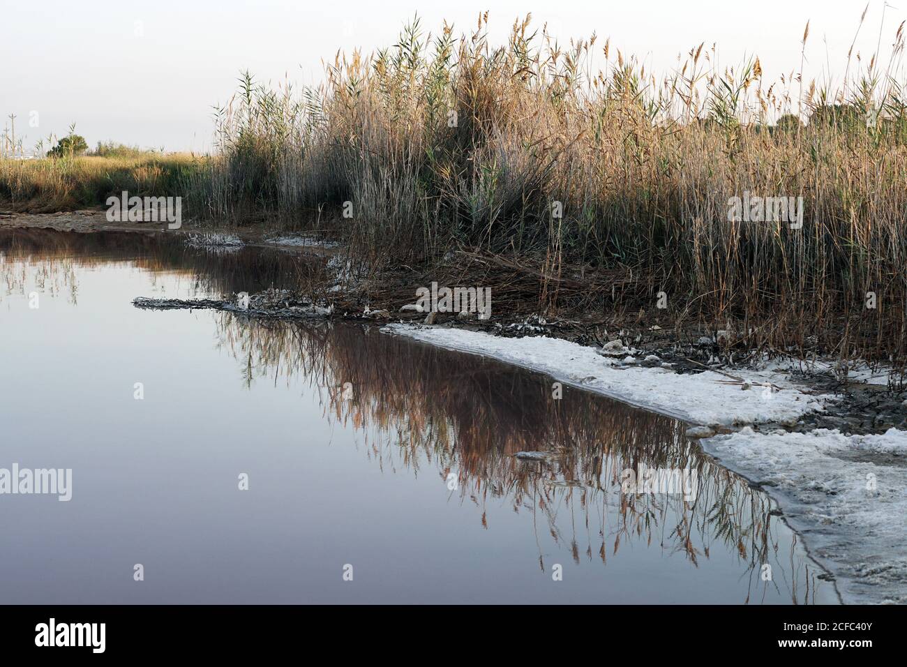 Growing salt hi-res stock photography and images - Alamy