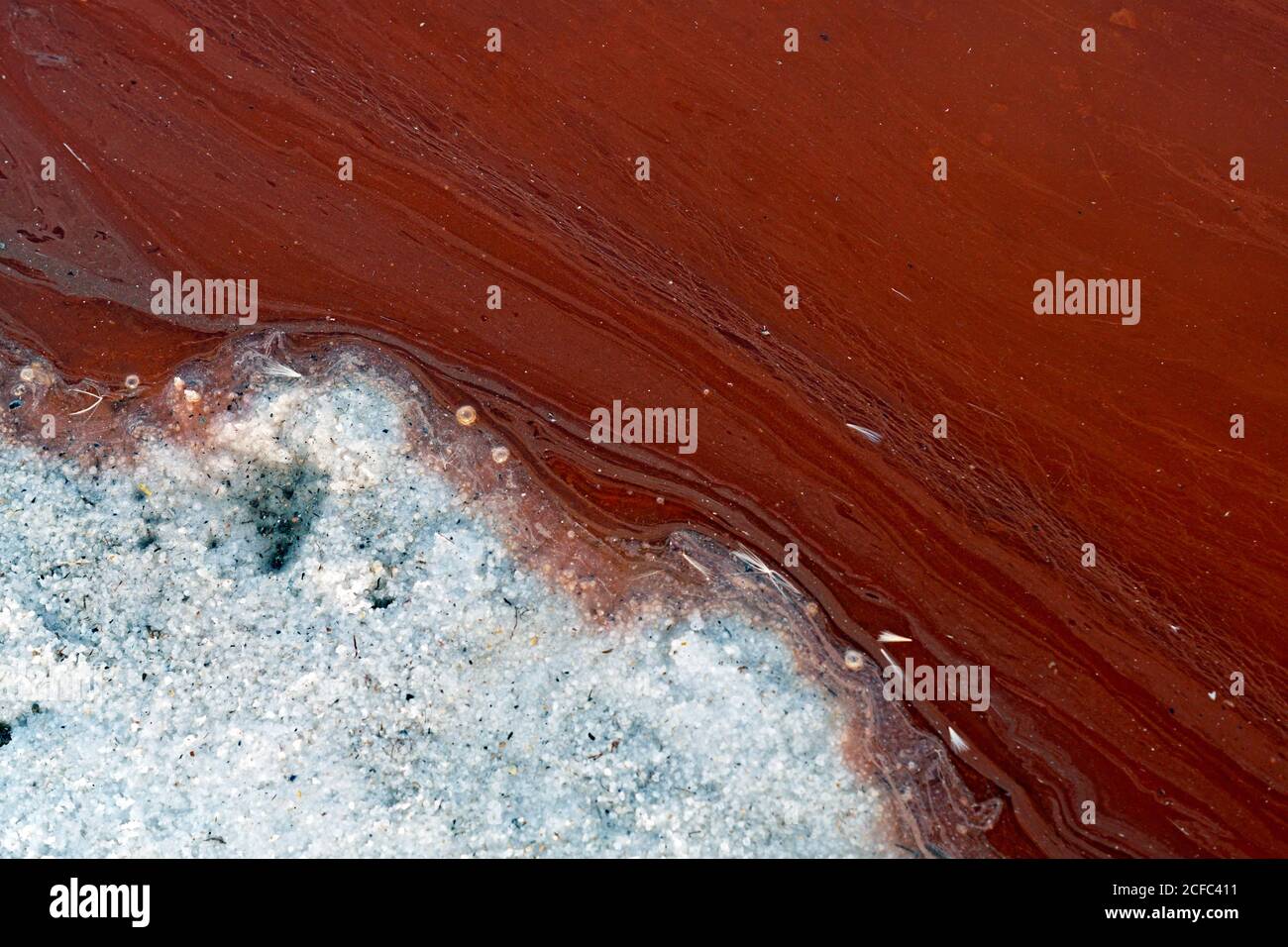 From above beautiful red pool used for salt production on daytime Stock ...