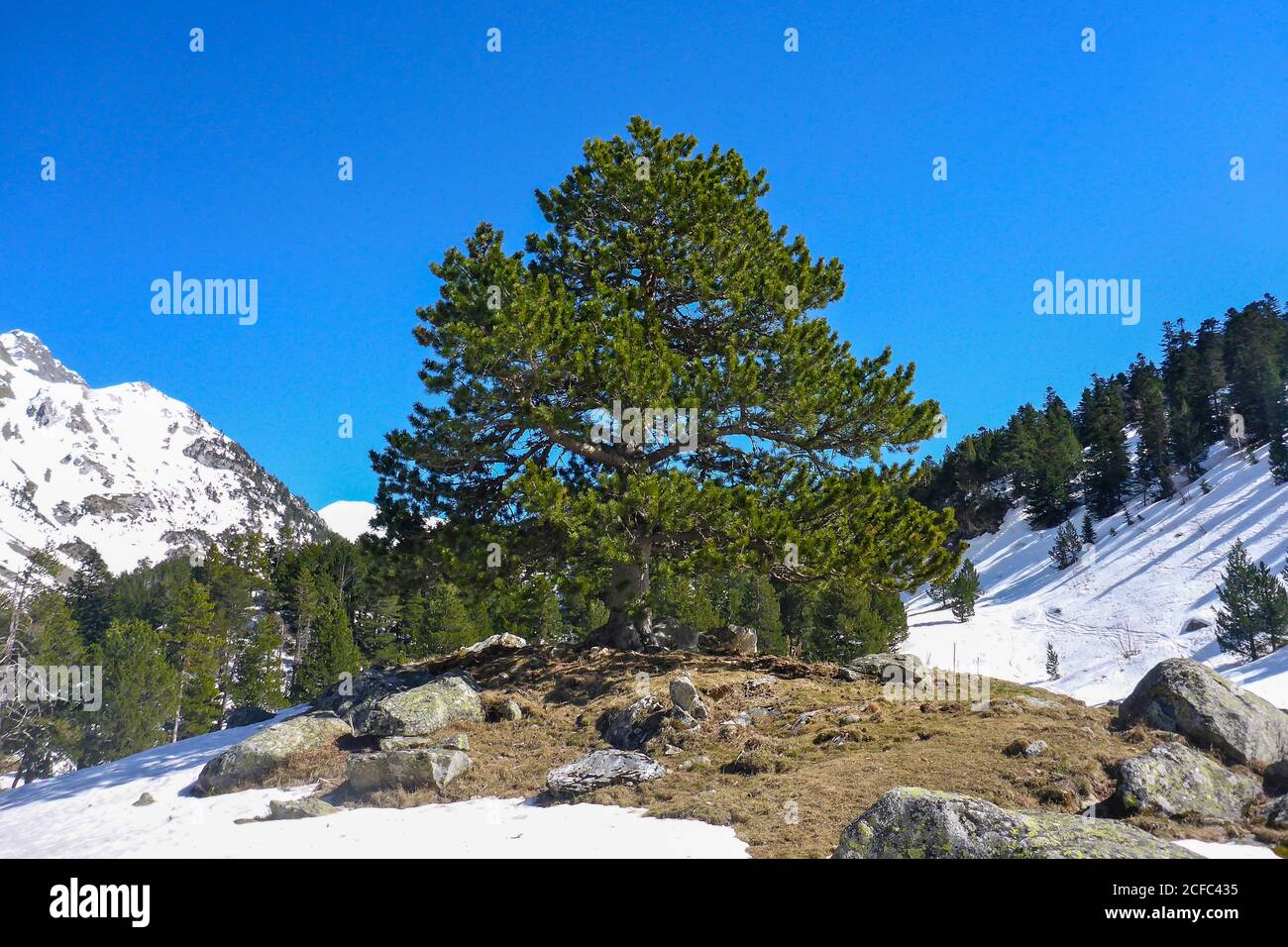 Pico de aneto hi-res stock photography and images - Alamy