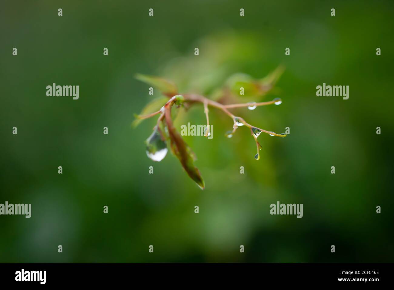 Fragile planet hi-res stock photography and images - Alamy
