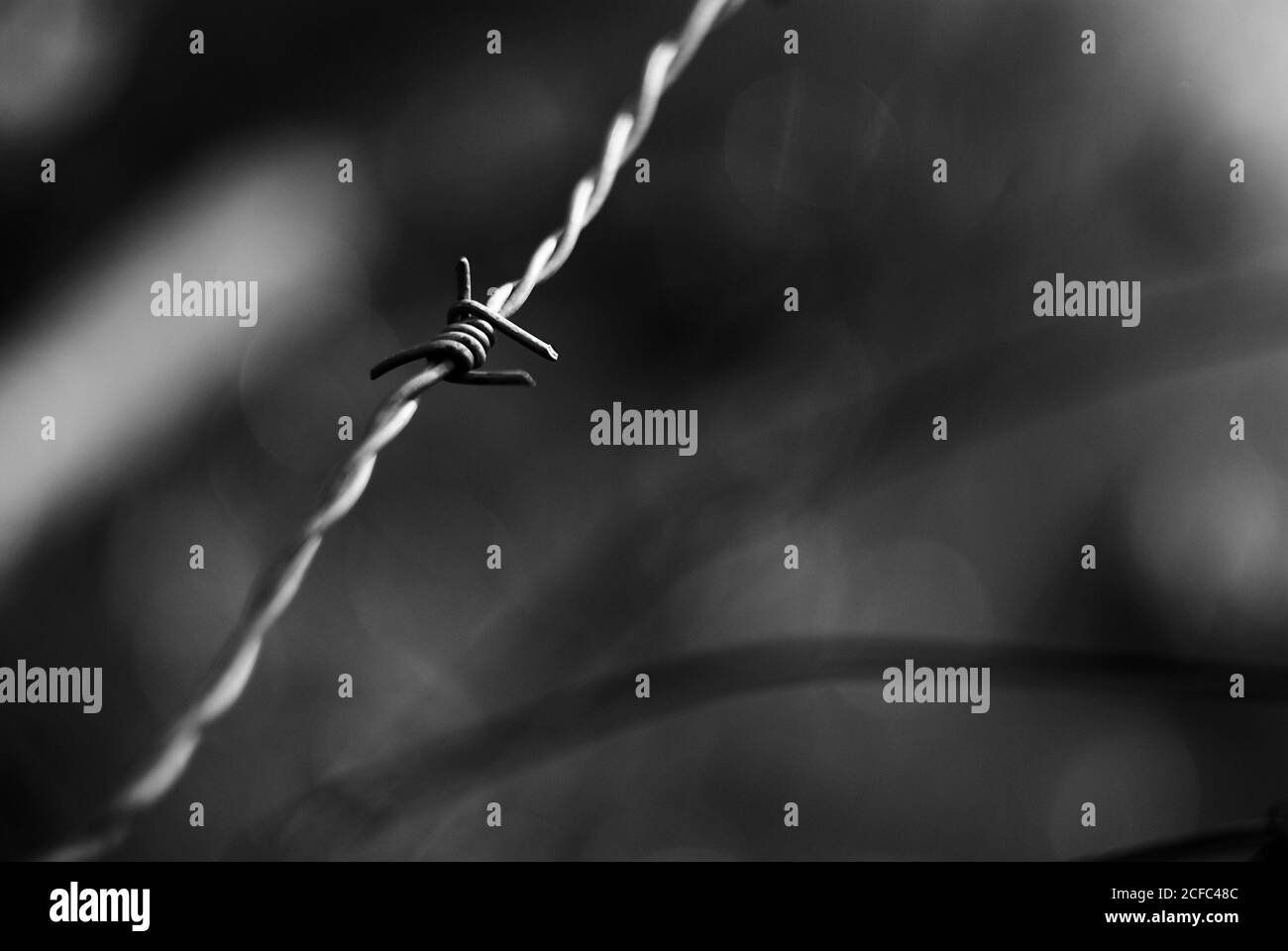 Closeup of shiny strained metal barbed wire on blurred background in ...