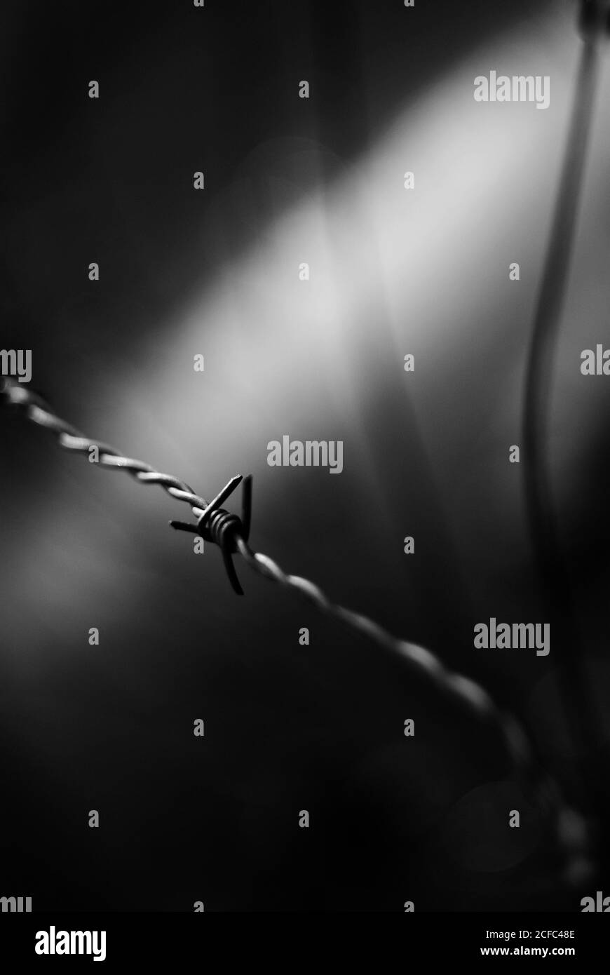 Closeup of shiny strained metal barbed wire on blurred background in ...