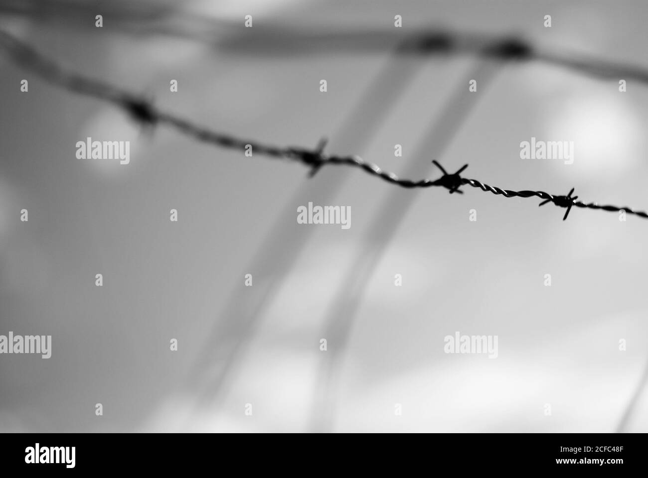 Closeup of shiny strained metal barbed wire on blurred background in ...