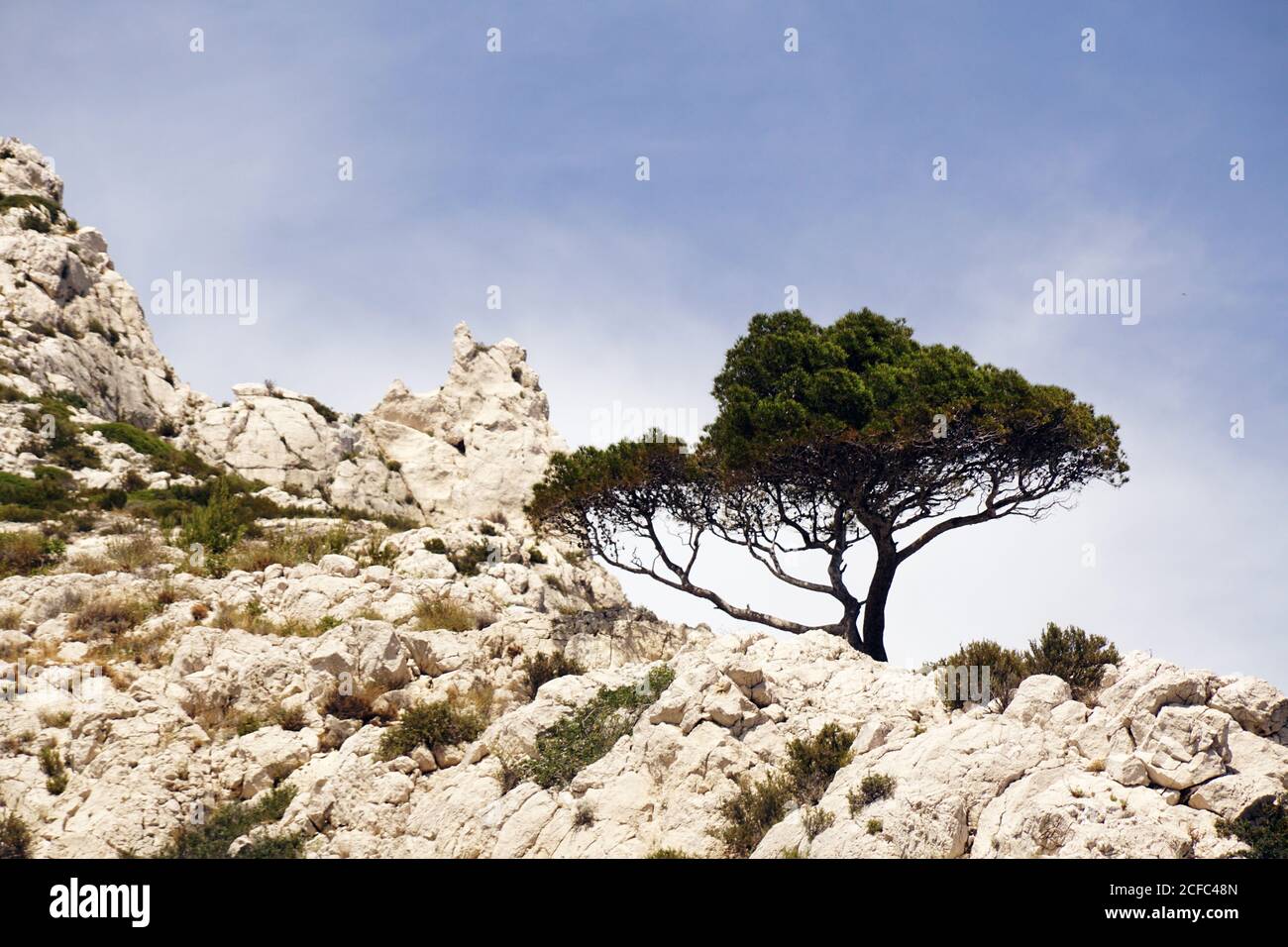 From below picturesque view of Calanques Massif with limestone rocks ...