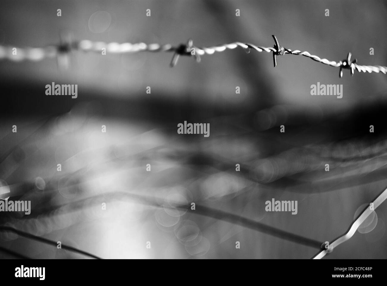Closeup of shiny strained metal barbed wire on blurred background in ...