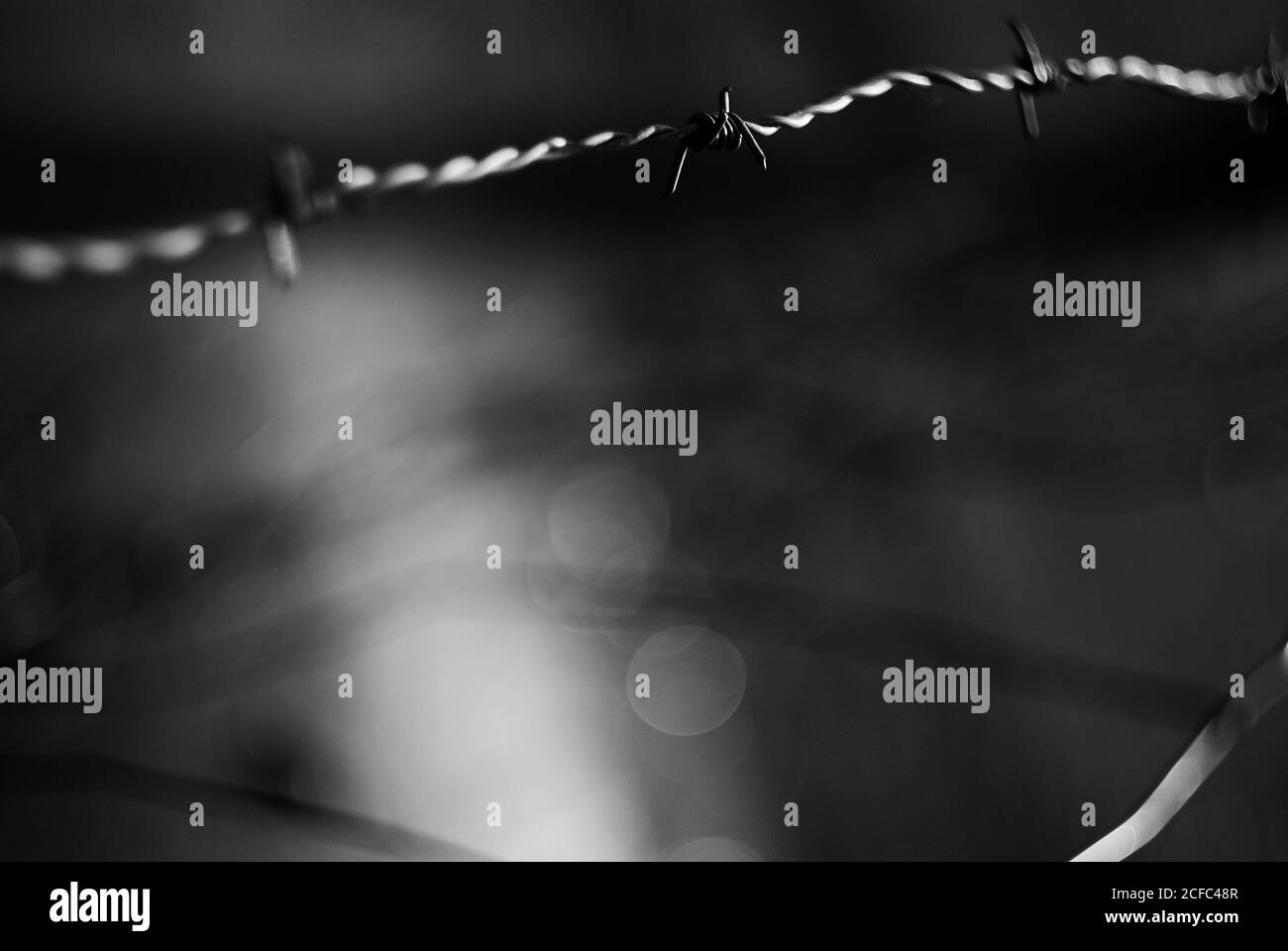 Closeup of shiny strained metal barbed wire on blurred background in ...