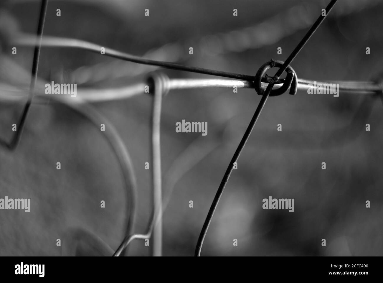 Closeup of shiny strained metal barbed wire on blurred background in ...