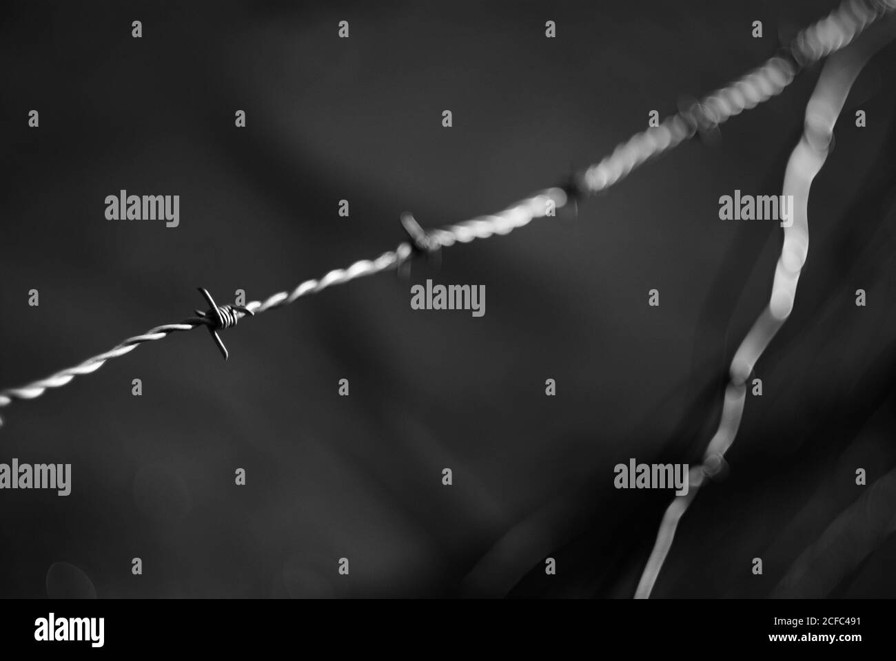 Closeup of shiny strained metal barbed wire on blurred background in ...