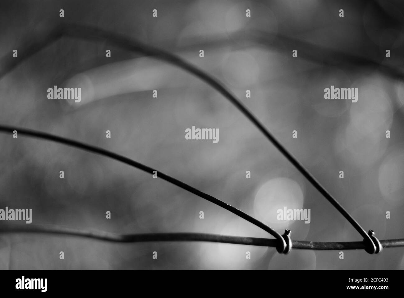 Closeup of shiny strained metal barbed wire on blurred background in ...