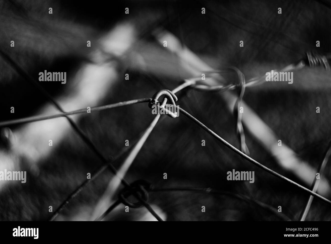 Closeup of shiny strained metal barbed wire on blurred background in ...