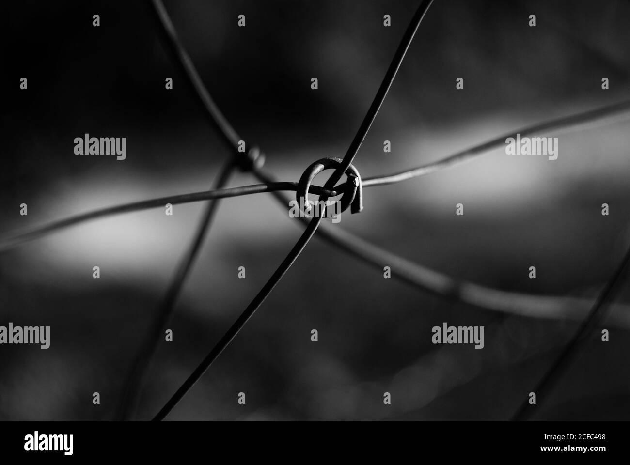 Closeup of shiny strained metal barbed wire on blurred background in ...