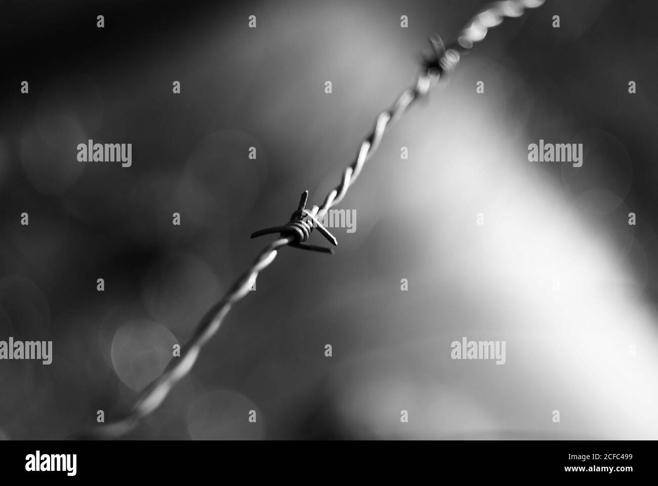 Closeup of shiny strained metal barbed wire on blurred background in ...