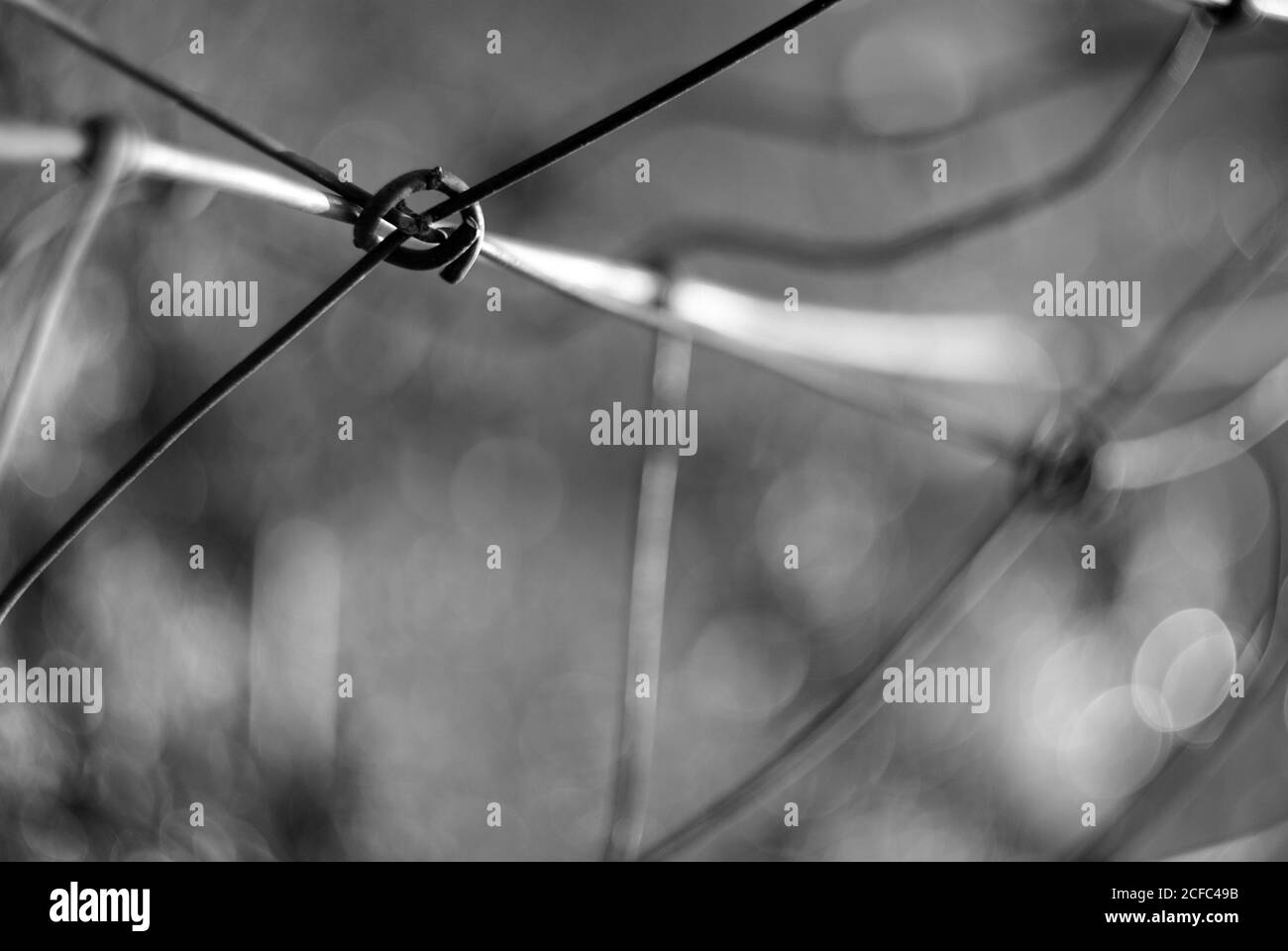 Closeup of shiny strained metal barbed wire on blurred background in ...
