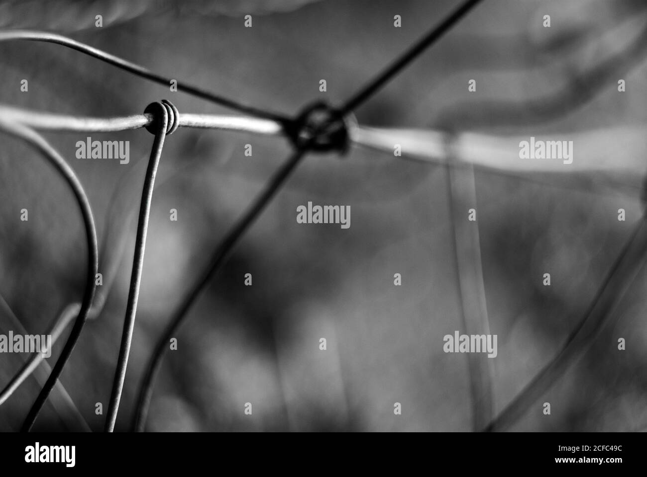 Closeup of shiny strained metal barbed wire on blurred background in ...