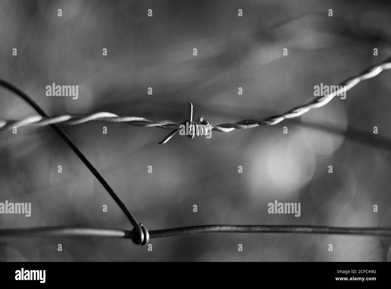Closeup of shiny strained metal barbed wire on blurred background in ...