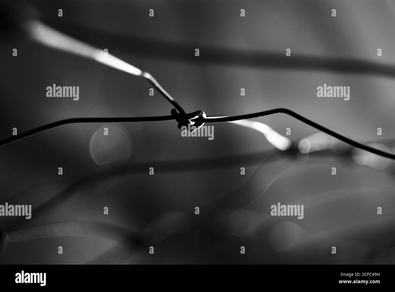 Closeup of shiny strained metal barbed wire on blurred background in ...