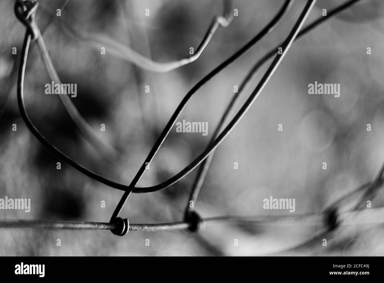 Closeup of shiny strained metal barbed wire on blurred background in ...