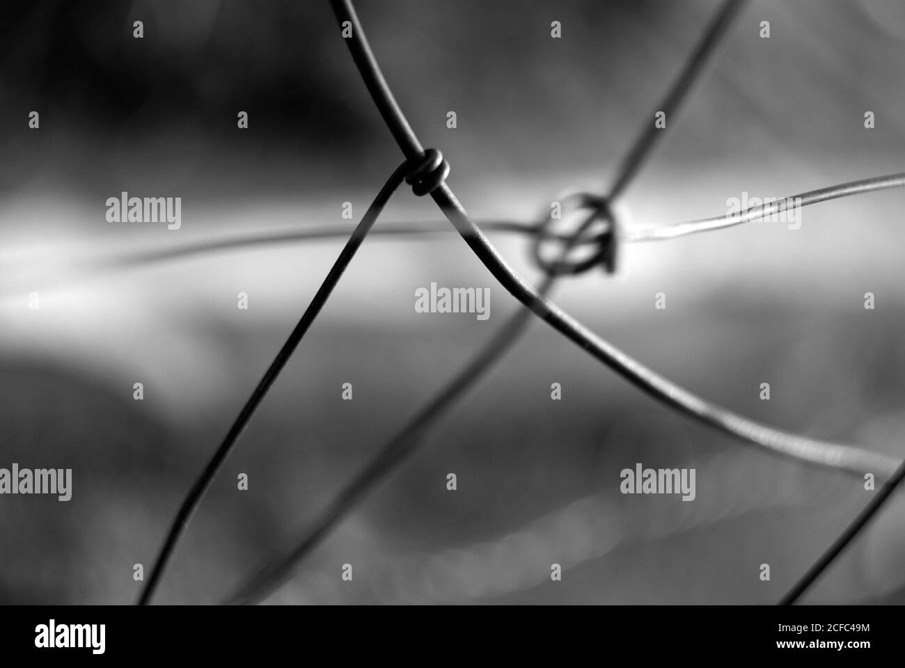 Closeup of shiny strained metal barbed wire on blurred background in ...