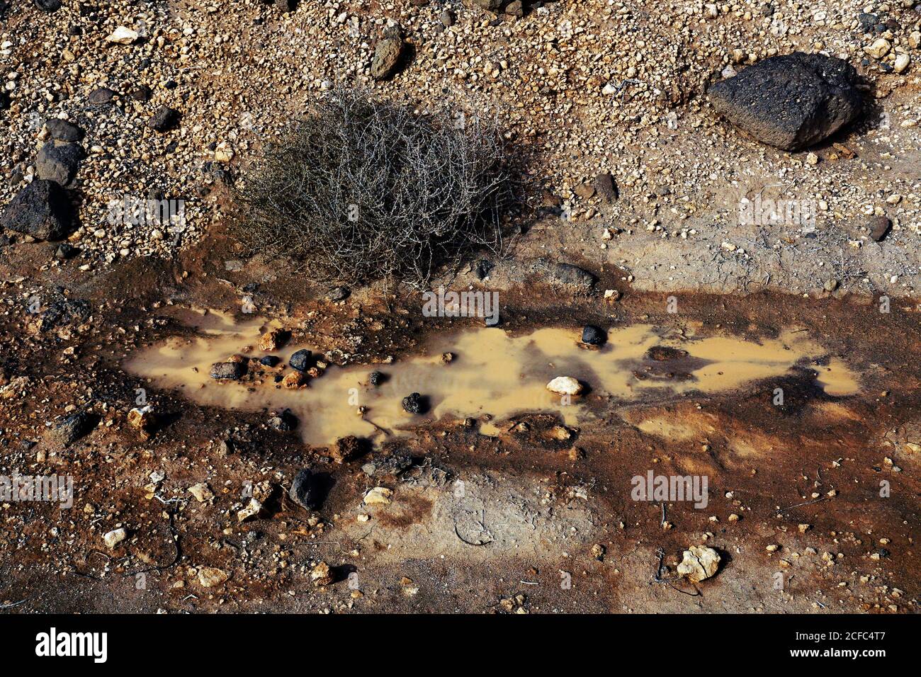 From above swamp with turbid muddy water brown soil and black rocks ...