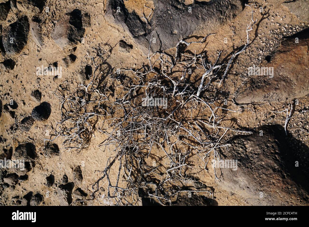 From above barren ground with rocks and withered branches of bush on ...