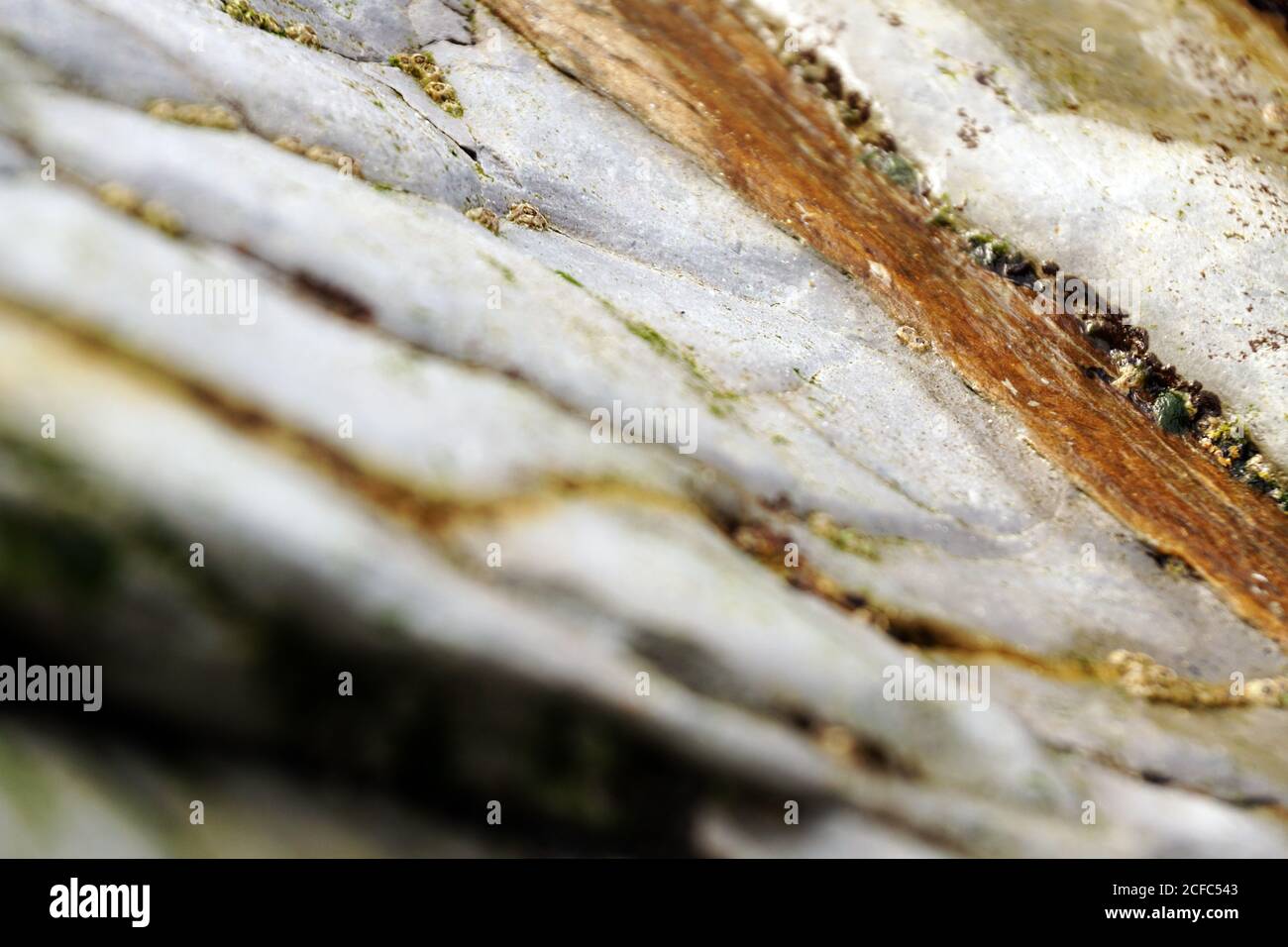 Tone and texture hi-res stock photography and images - Alamy