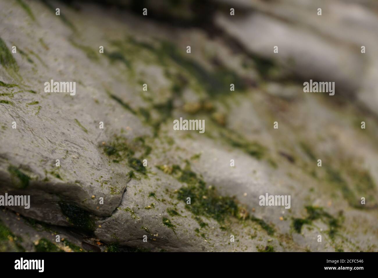 Tone and texture hi-res stock photography and images - Alamy