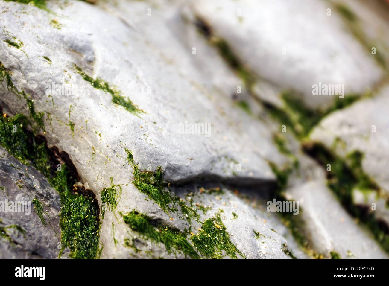 Beautiful tone texture with cracks Stock Photo - Alamy