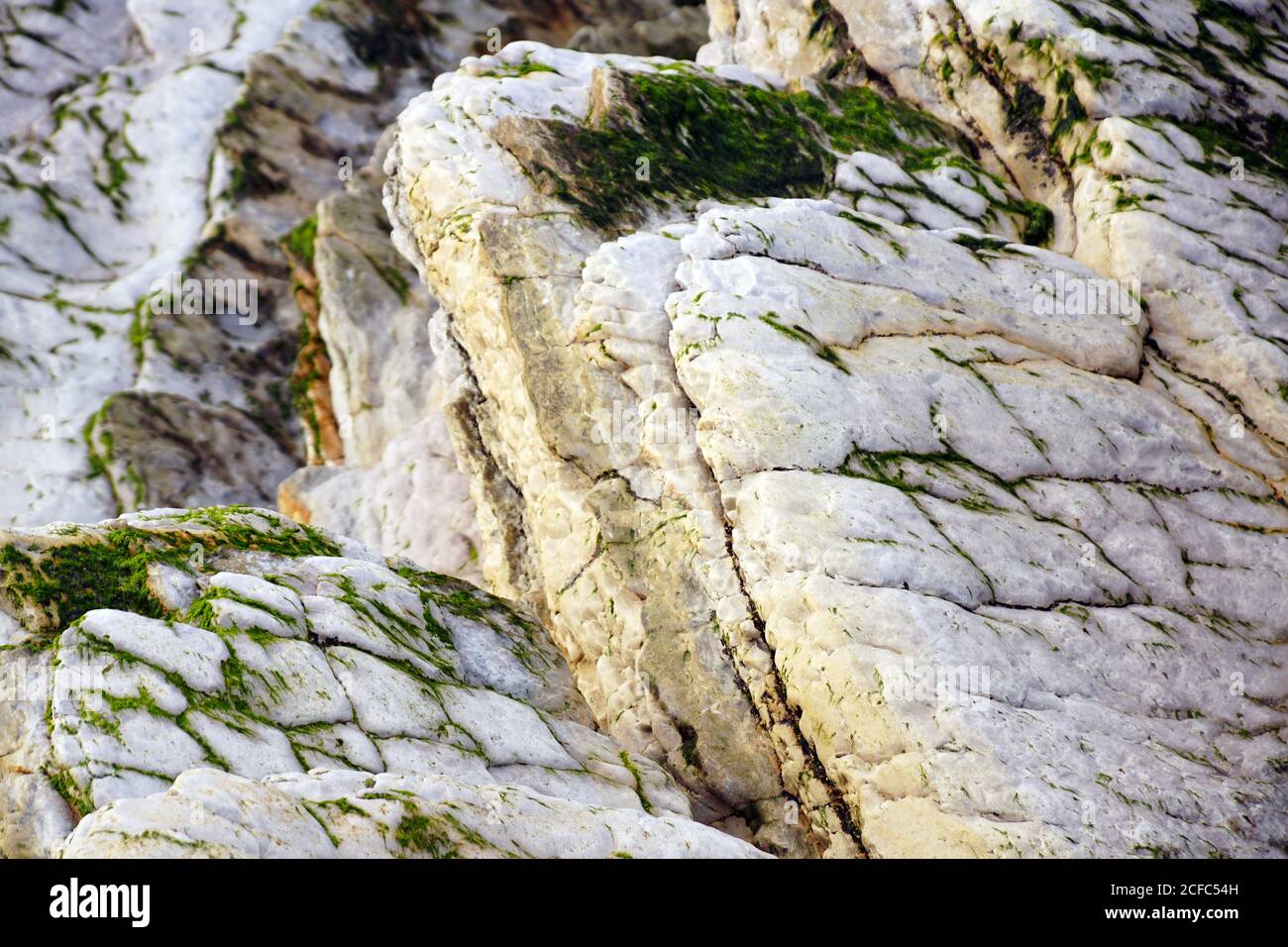 Tone and texture hi-res stock photography and images - Alamy