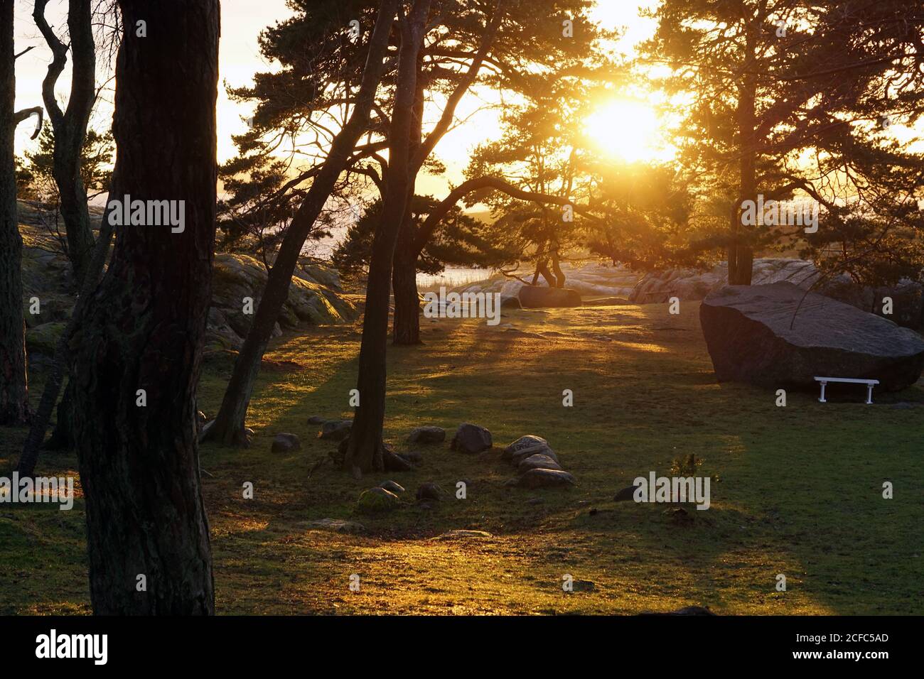 Tranquil woods with evergreen trees with rocks at lake in sun rays ...